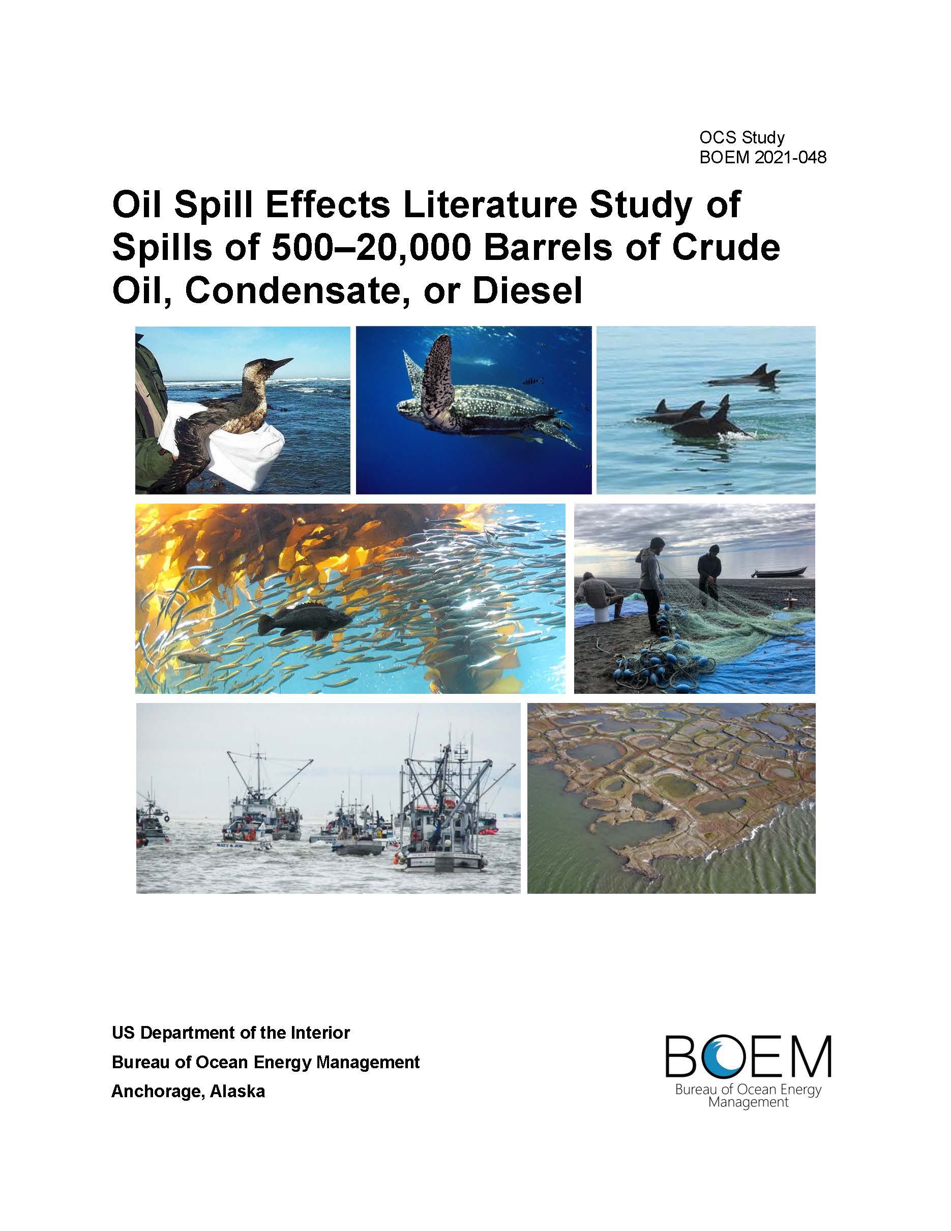 Oil Spills Effects